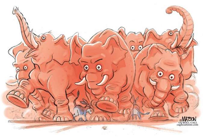 Elephant Stampede